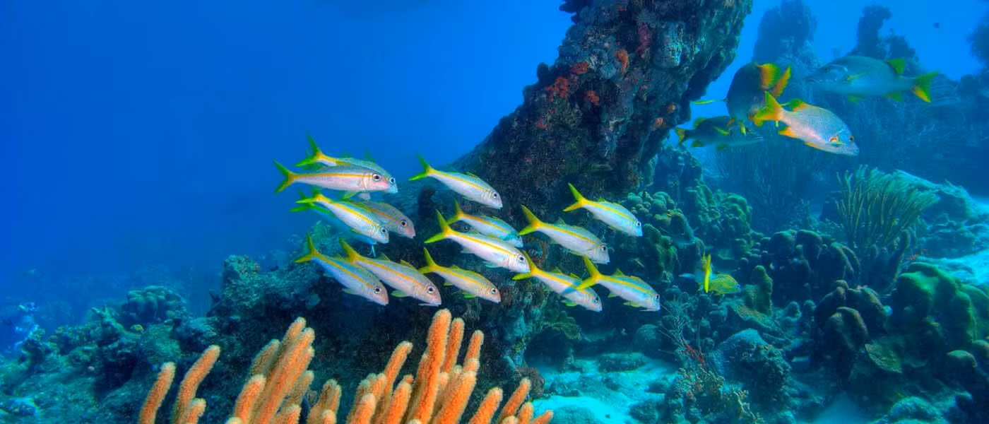 Book Cheap Flights from Santa Rosa to Turks and Caicos Islands ...